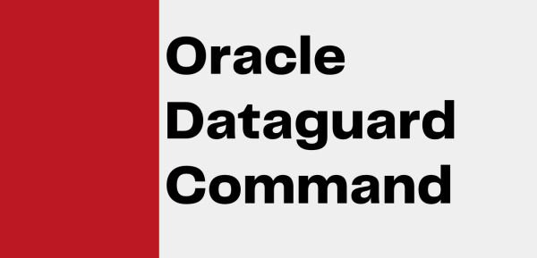 Oracle Dataguard Important Command – LearnoMate Technologies