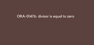 ORA-01476: divisor is equal to zero - Learnomate Technologies