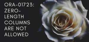 ORA-01723: zero-length columns are not allowed - Learnomate Technologies