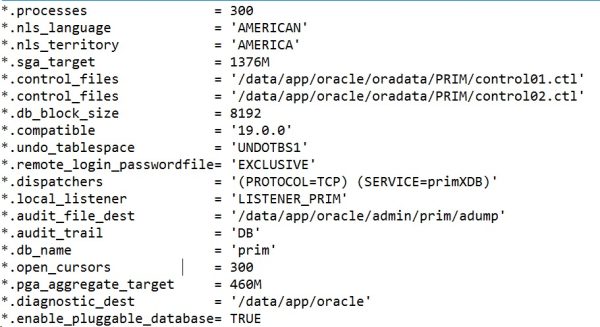 ORA-01078: failure in processing system parameters. - Learnomate Technologies