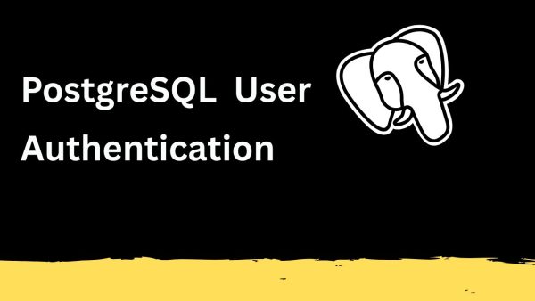 Postgresql User Authentication And Access A Complete Guide